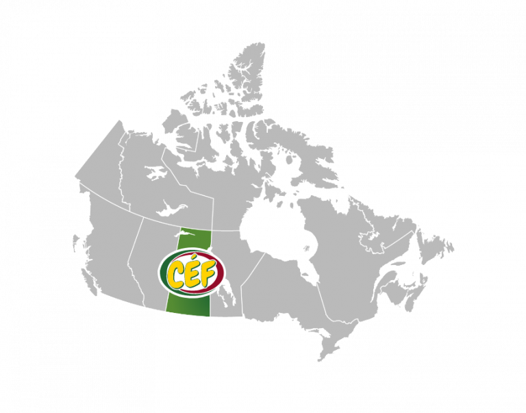 Éducation Internationale – CÉF