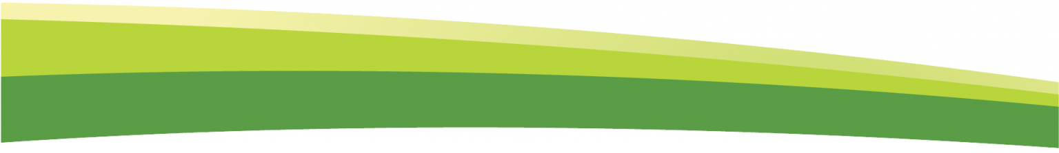 Éducation Internationale – CÉF